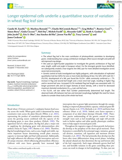 Pdf Longer Epidermal Cells Underlie A Quantitative Source Of Variation In Wheat Flag Leaf Size