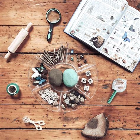 Insect Tinker Tray Encouraging Creativity And Learning