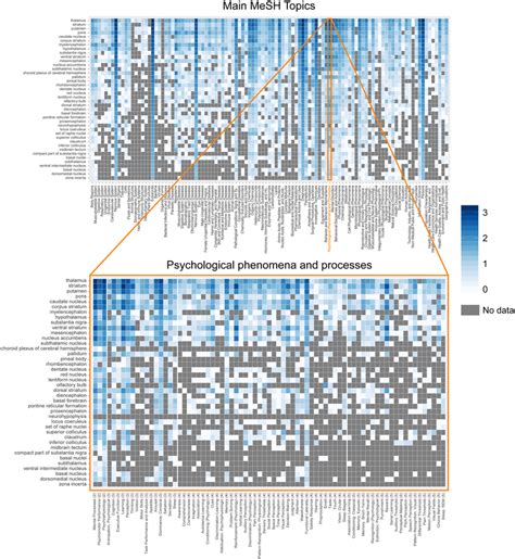 structure function mapping of the human subcortex mesh topics x axis download scientific