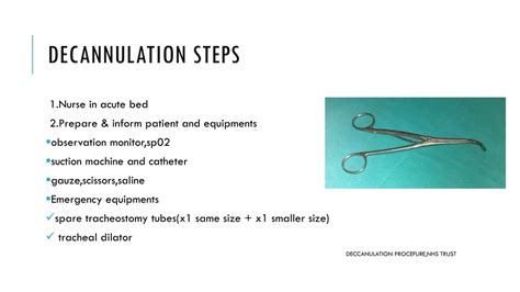 Ppt Tracheostomy Decannulation Powerpoint Presentation Free Download