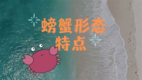 快速识别螃蟹形态 YouTube