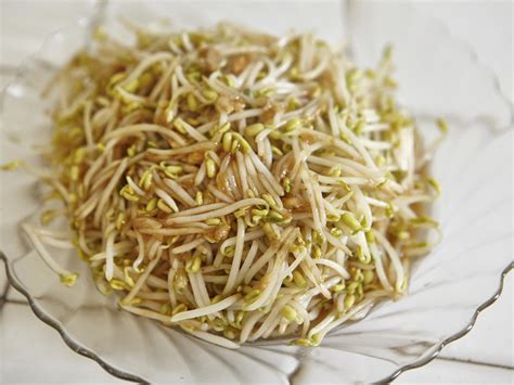 Stir Fried Bean Sprouts Recipes Dr Weils Healthy Kitchen