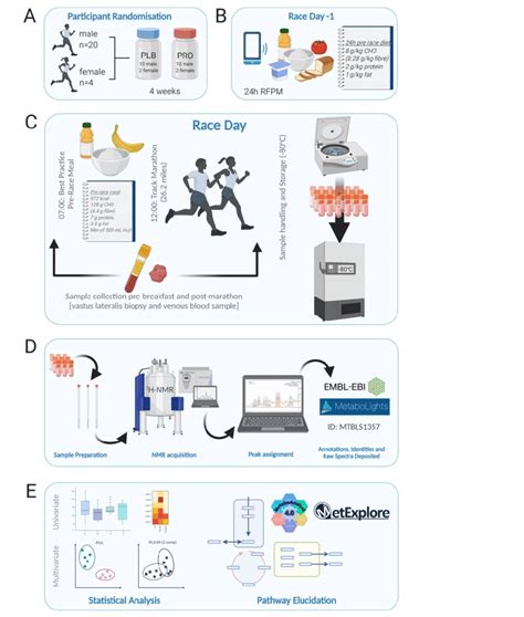 Schematic Overview Of The Study Design A Participant Randomisation Download Scientific