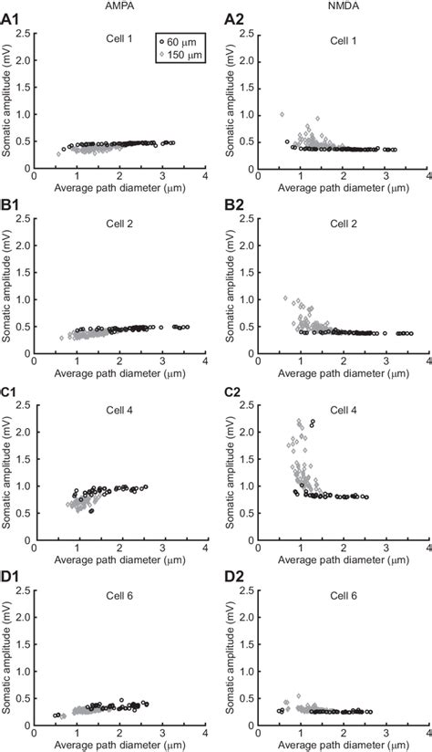 Dependence Of Somatic Responses On The Average Path Diameter A