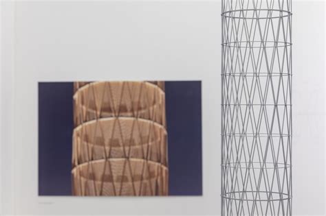 Gallery Of Som Exhibits 30 Structural Skeleton Models Showing Evolution
