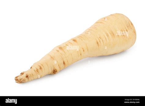 Parsnip Root Isolated On White Background Closeup Stock Photo Alamy