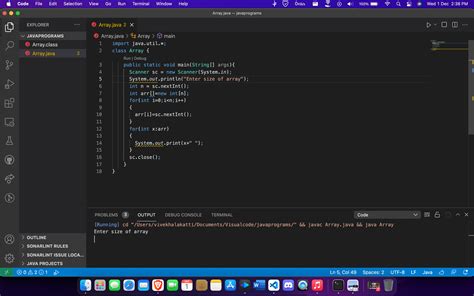 I Am Unable To Give User Input While Using Code Runner Extension