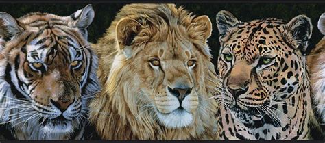 List Of Big Cats Largest Wild Cat In The World Emsry