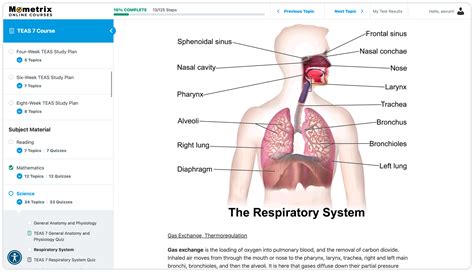 Online Teas 7 Prep Course 2 650 Practice Questions Mometrix