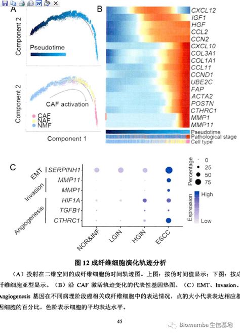 单细胞测序做到啥程度能毕业 博士篇 知乎