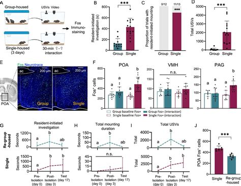 Figures And Data In Short Term Social Isolation Acts On Hypothalamic