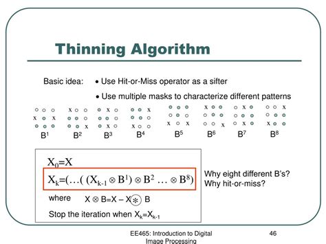 Ppt What Is In Common Powerpoint Presentation Free Download Id