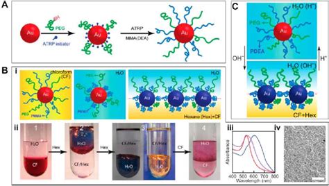 Responsive Interfacial Assembly Of Amphiphilic Au Nanoparticles By