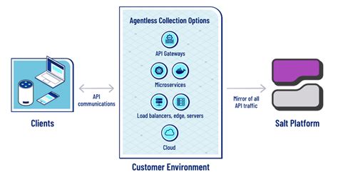 The Salt Security Api Protection Platform