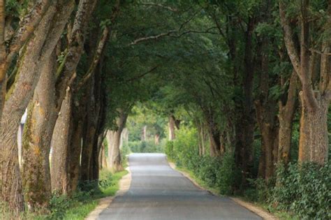 Deploy An Aws Lambda Function In Go With Terraform Angadjava