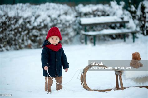 눈 겨울 시간에 테 디와 놀고 아기 블루 코트에서 작은 유아 소년 썰매에 슬라이딩 테 디 베어를 들고 겨울 공원에서 야외에서 재생 겨울에 대한 스톡 사진 및 기타 이미지