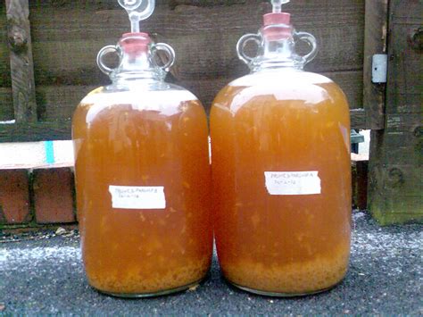 Bens Adventures In Wine Making Prune And Parsnip Wine 2016 The Making Of Bens Adventures In Wine Making Prune And Parsnip Wine 2016 The Making Of