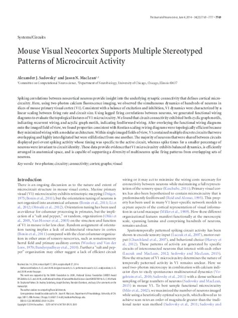 Pdf Mouse Visual Neocortex Supports Multiple Stereotyped Patterns Of