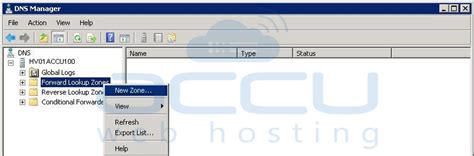 How To Add A New DNS Zone And Manage DNS Records For A Domain Hosted On Windows VPS