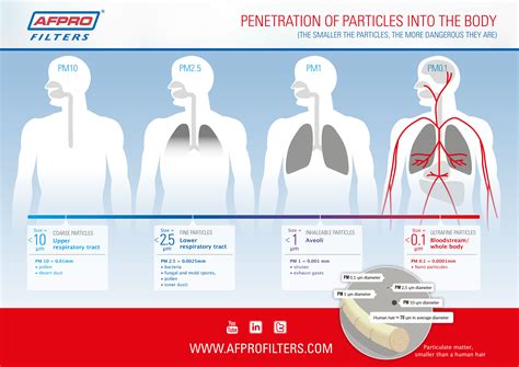 Pm2 5 Understanding The Impacts Of Fine Particulate Matter On Air Quality And Health News Tips