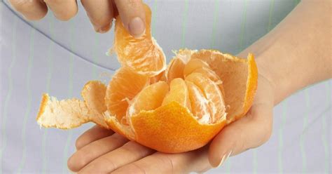 귤 먹고 노래진 손끝… 느낌일까 진짜일까