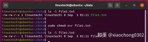 通过 个实例学习 linux chmod 命令 知乎