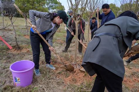 师生义务植树为校园增添绿意 华东交通大学