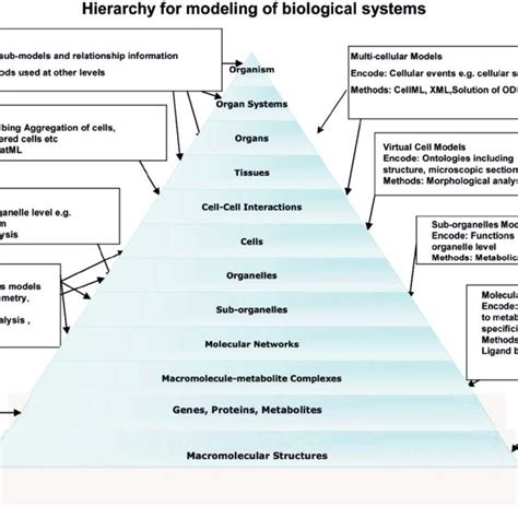 Improvised Cell Tree Data Structure To Store Information About The Download Scientific Diagram