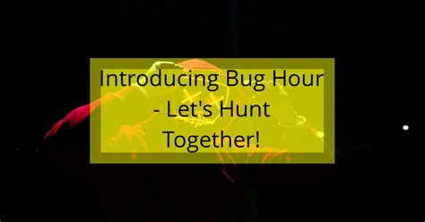 introducing bug hour let s hunt together undercode testing