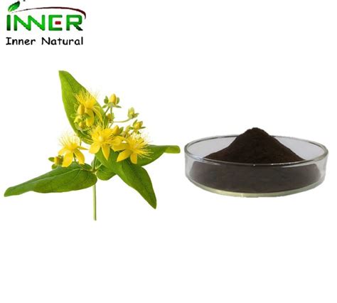 St John Wort Extract Hypericum Perforatum Extract Powder 0 3 Hypericin Powder China St John