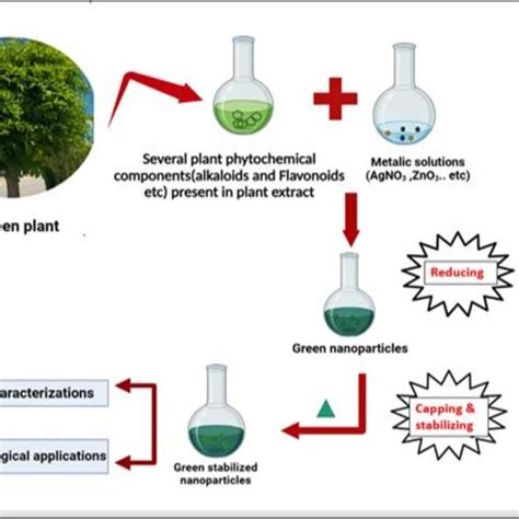 Green Fabrication Of Nanoparticles Download Scientific Diagram