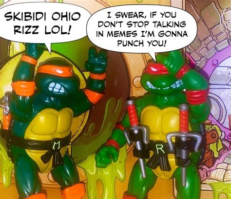 Tmnt Mikey Memes 25 Best Images About Tmnt Raph And Mikey On Pinterest