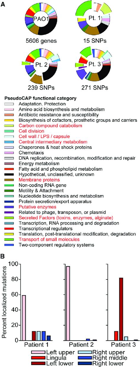 Regional Adaptation Leads To Localized Mutations A Localized