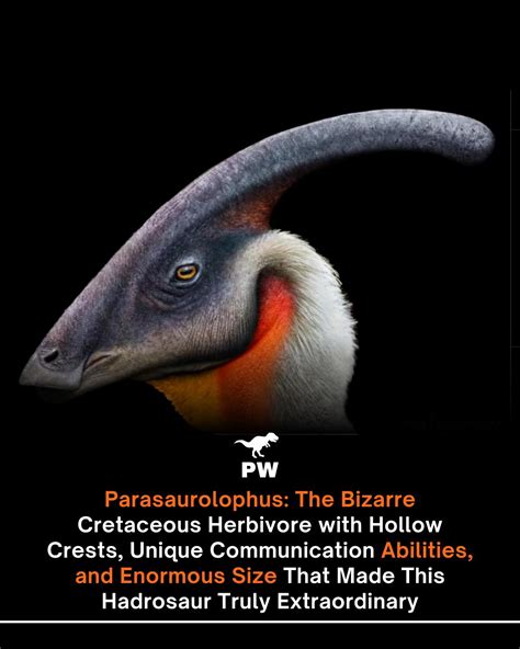 Prehistoric Parasaurolophus The Long Crested Dinosaur Of The Cretaceous Parasaurolophus Was