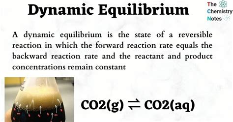 Dynamic Equilibrium Definition Important Examples