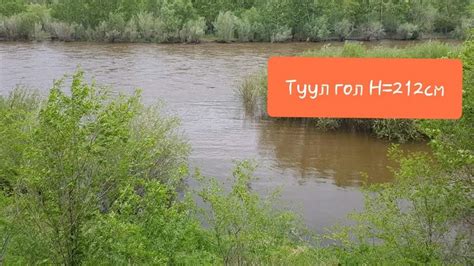 СЭРЭМЖЛҮҮЛЭГ Голуудын усны түвшин үерийн түвшинг 10 23 см даван үерлэжээ