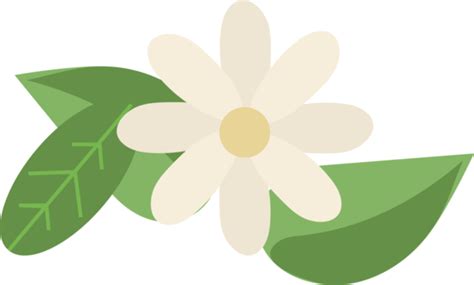 Cherry Border Pngs For Free Download