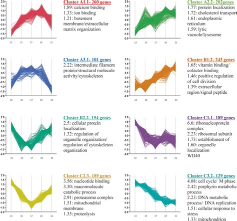 Further Partitioning And Functional Annotation Analysis To Genes