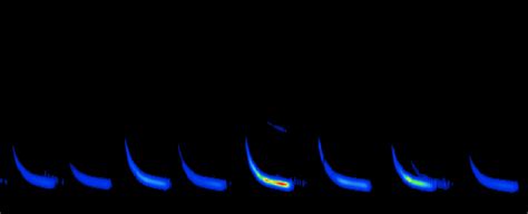 Outdoor Illinois Journal Acoustic Bat Monitoring