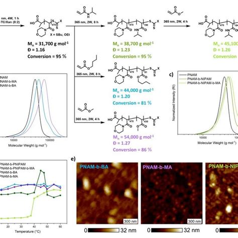 Synthesis Of Block Copolymers Using The Xpi Raft Methodology A Download Scientific Diagram