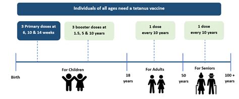 Tetanus Vaccination In Hisar