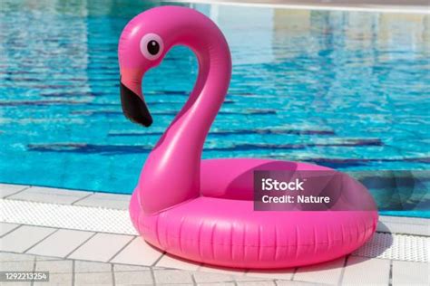플라밍고 고립 여름 해변 배경을위한 수영장 물에 분홍색 팽창식 플라밍고 수영장 플로트 파티 0명에 대한 스톡 사진 및 기타 이미지 Istock