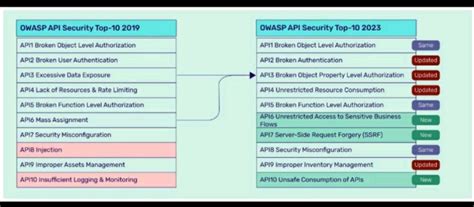 Apisecurity Owasptop10 Security Applicationsecurity Ciso Suraj