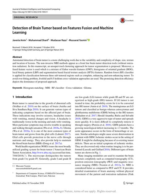 detection of brain tumor based on features fusion and machine learning