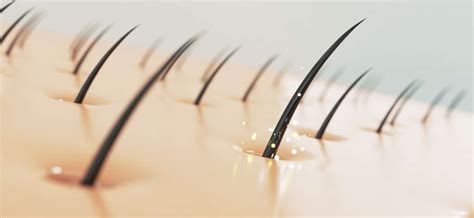 Caring For Your Dry Sensitive Scalp A Comprehensive Guide