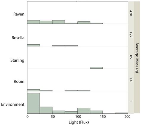 Frequency Histogram Of Light Intensity In Species Light Intensity Was Download Scientific Frequency Histogram Of Light Intensity In Species Light Intensity Was Download Scientific