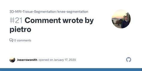 Comment Wrote By Pietro · Issue 21 · 3d Mri Tissue Segmentationknee Segmentation · Github