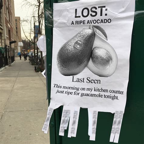 avocado gone missing brooks tropicals