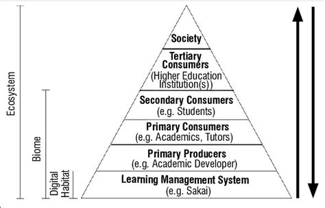 ecosystem of e learning model download scientific diagram