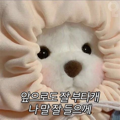 메모장 귀엽고 하찮아서 더 귀여운 ♥ 💛애인에게 보내기 좋은 기여운 짤 모음집💛 캡쳐해서 남친한테 냅다 날려보장 ⑅˃ ˂⑅ ♡ Instagram